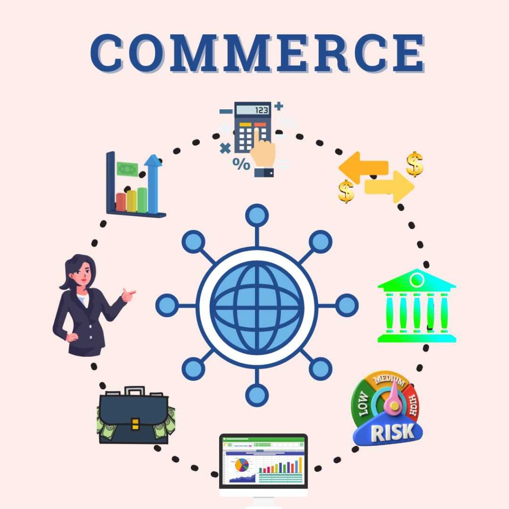 Commerce Courses after 10th