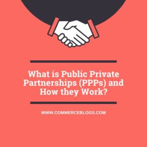 What is PPPs and How they work?